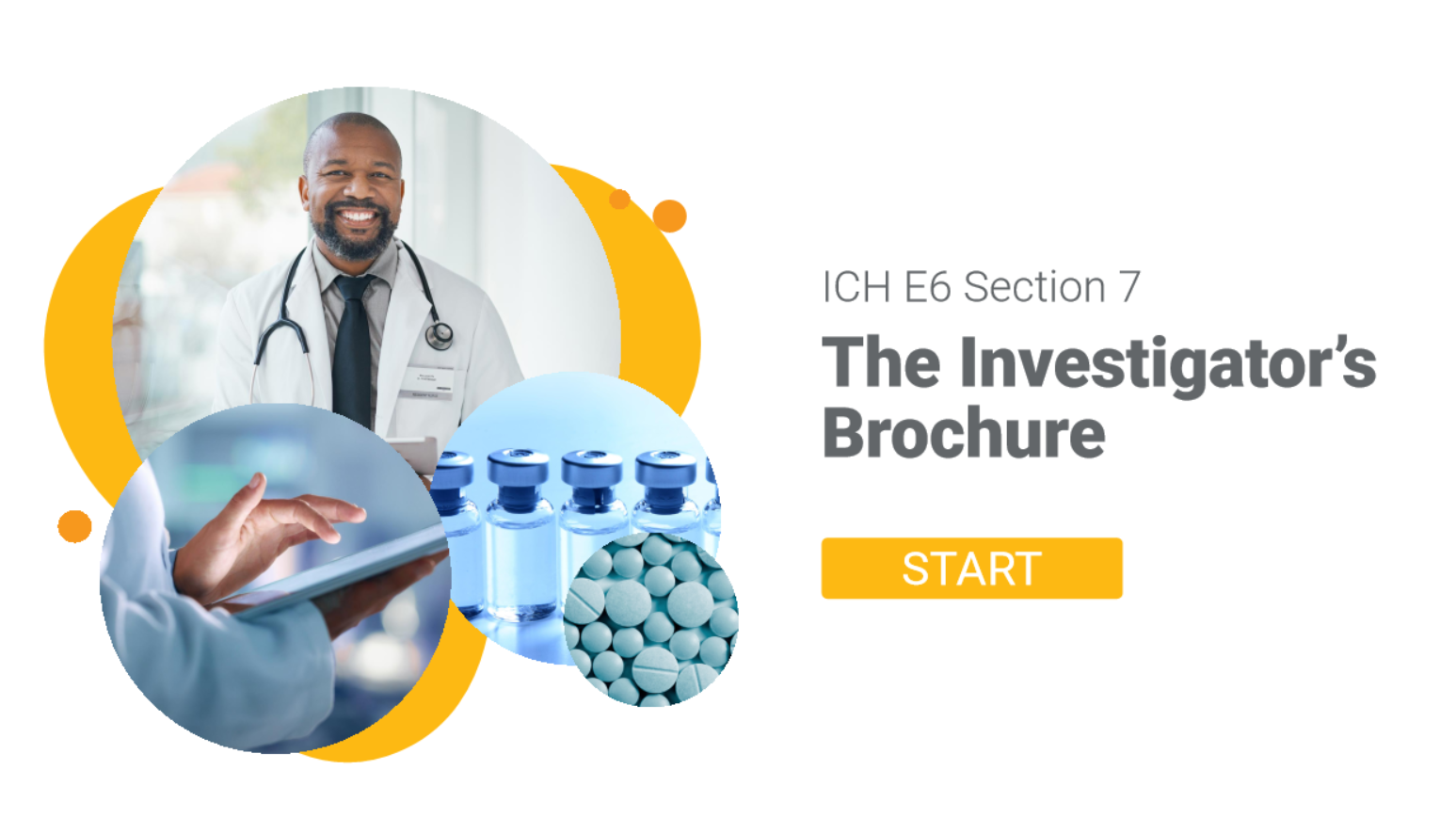 ICH E6 - Investigator's Brochure (Chapter 7) (R2) - LearnGxP ...